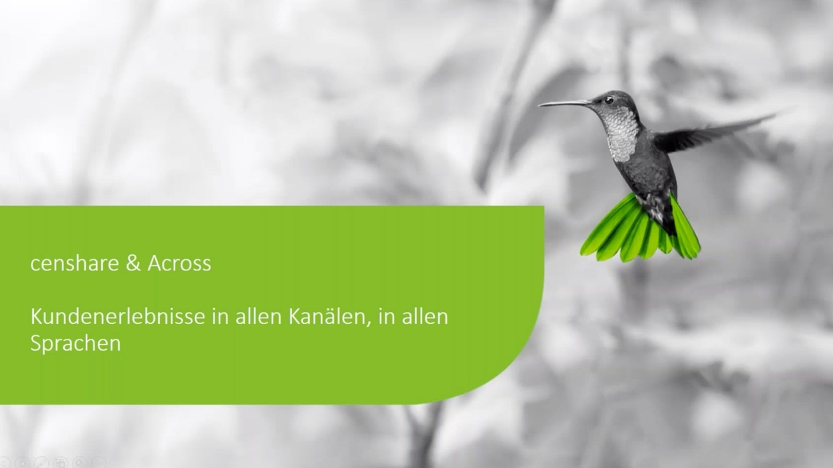 Webinar: The Integration of the Across Language Server with censhare
